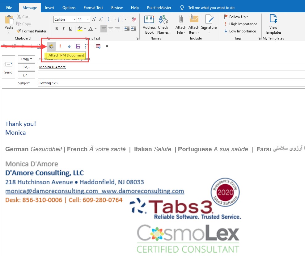 PracticeMaster Email Attachments - D' Amore Consulting, LLC
